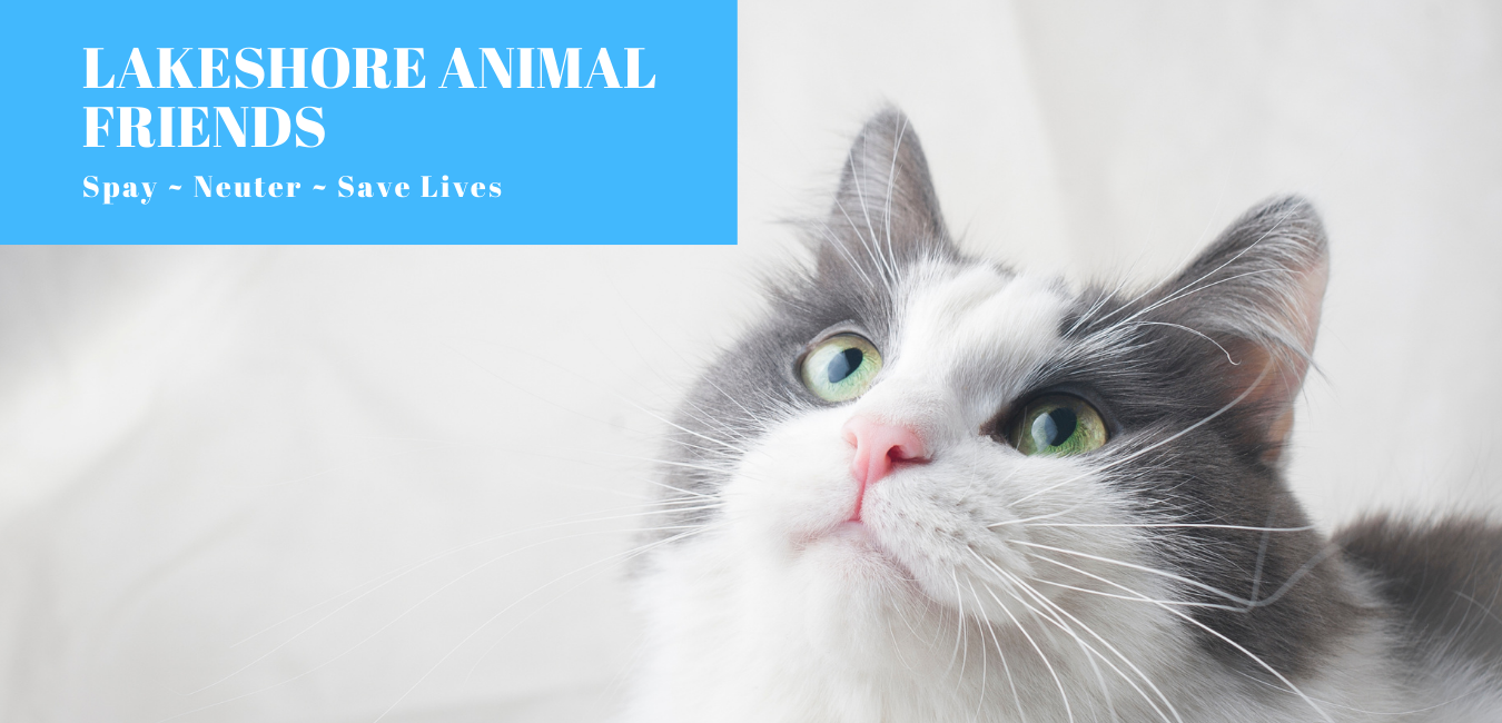 Lakeshore Animal Friends – Spay ~ Neuter ~ Save Lives